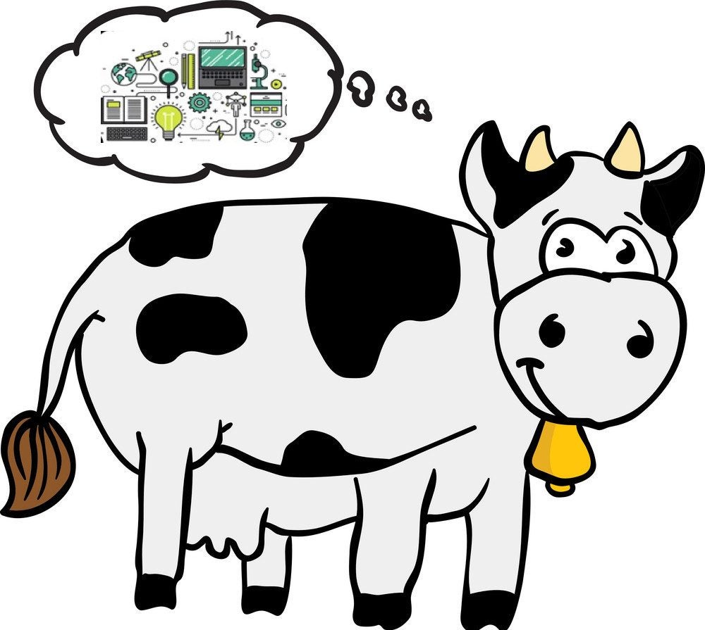 - Interdisciplinary Tutorial Resources